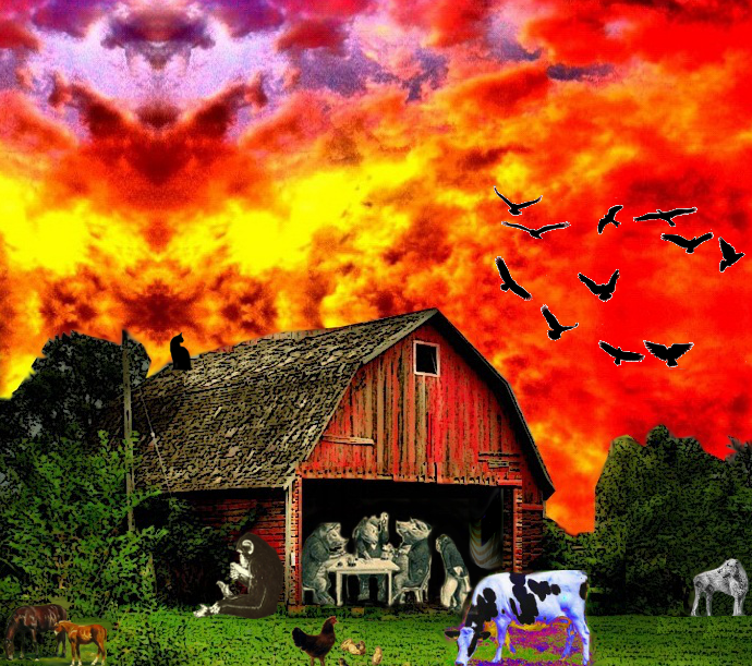 Photos – Michael Solan