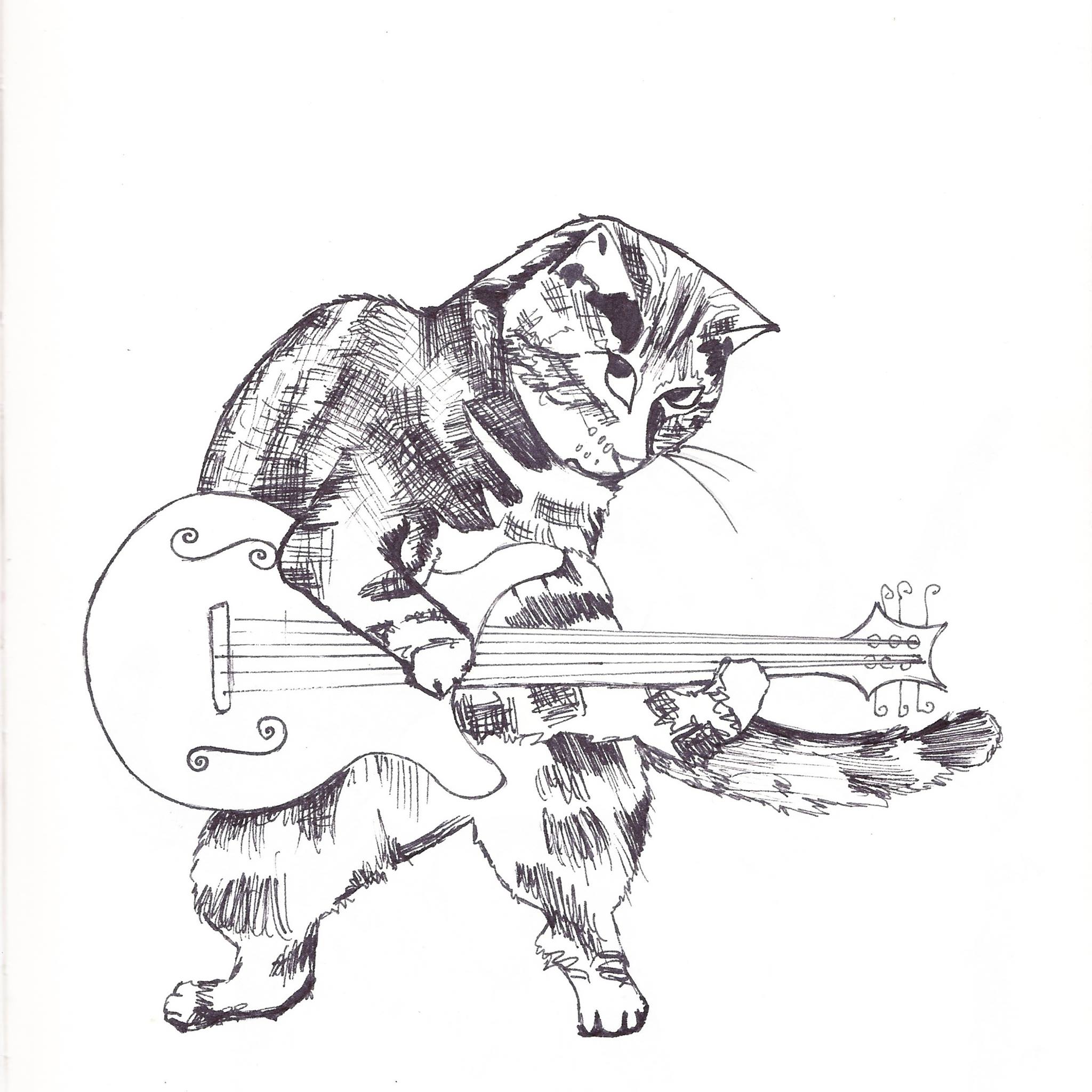 Photos – Michael Solan